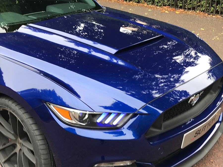 Mustang Clive Sutton