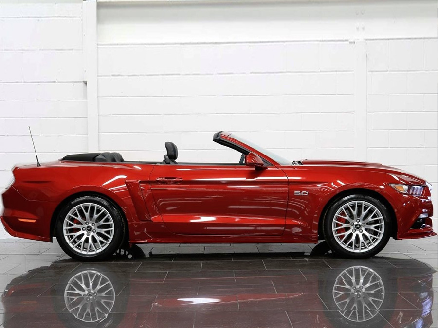 Mustang Clive Sutton