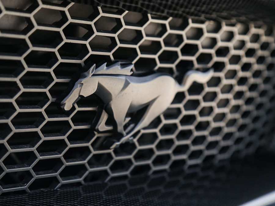 Mustang Clive Sutton