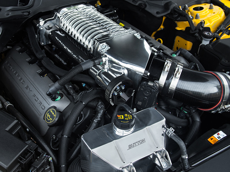 Mustang Clive Sutton