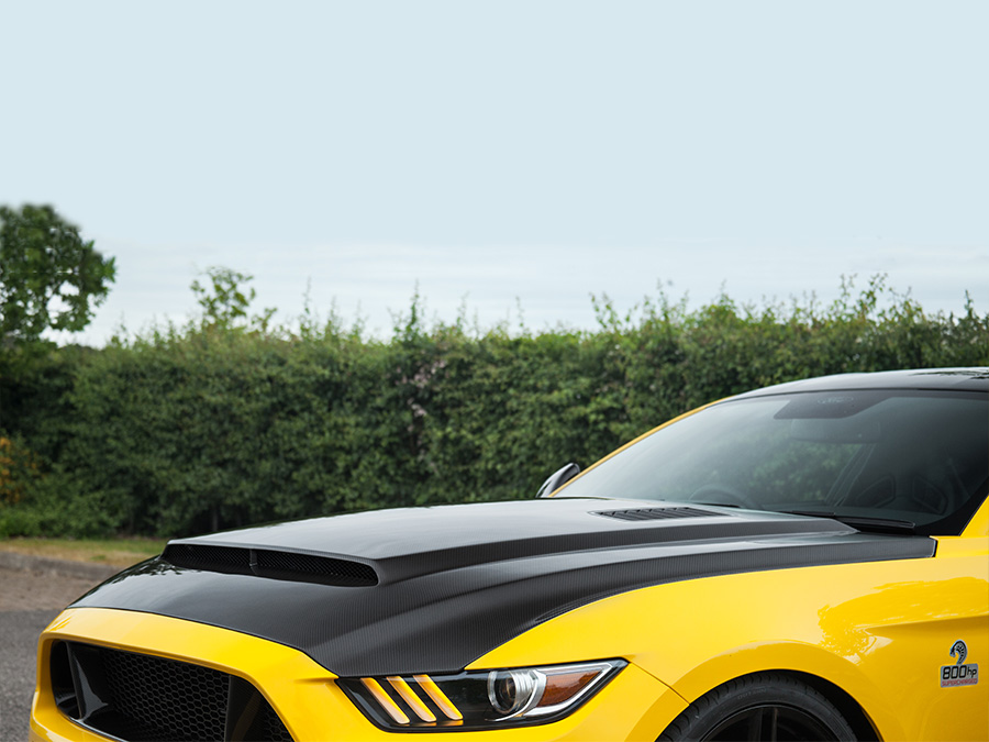 Mustang Clive Sutton