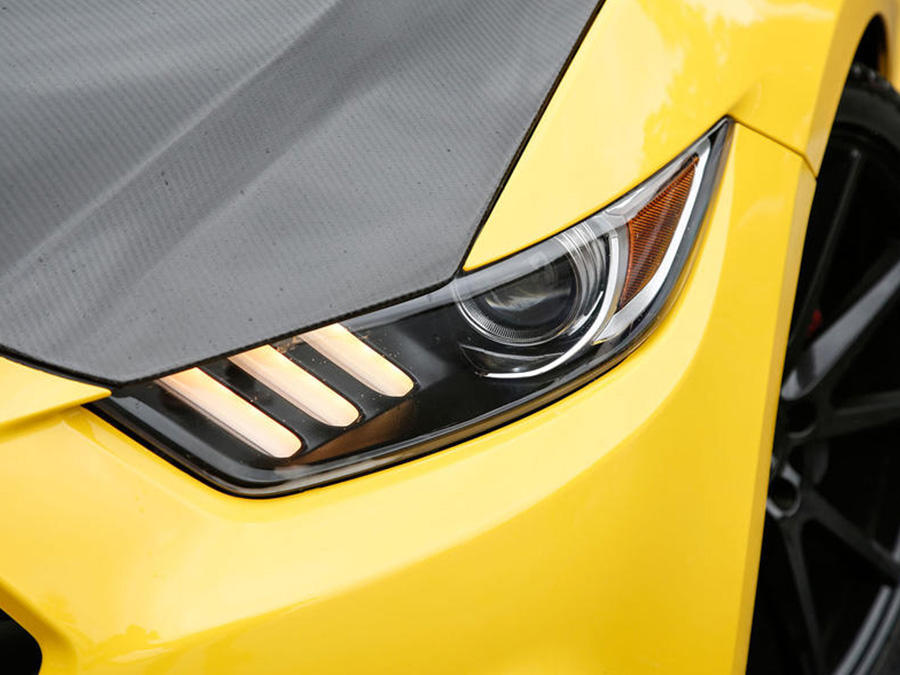 Mustang Clive Sutton